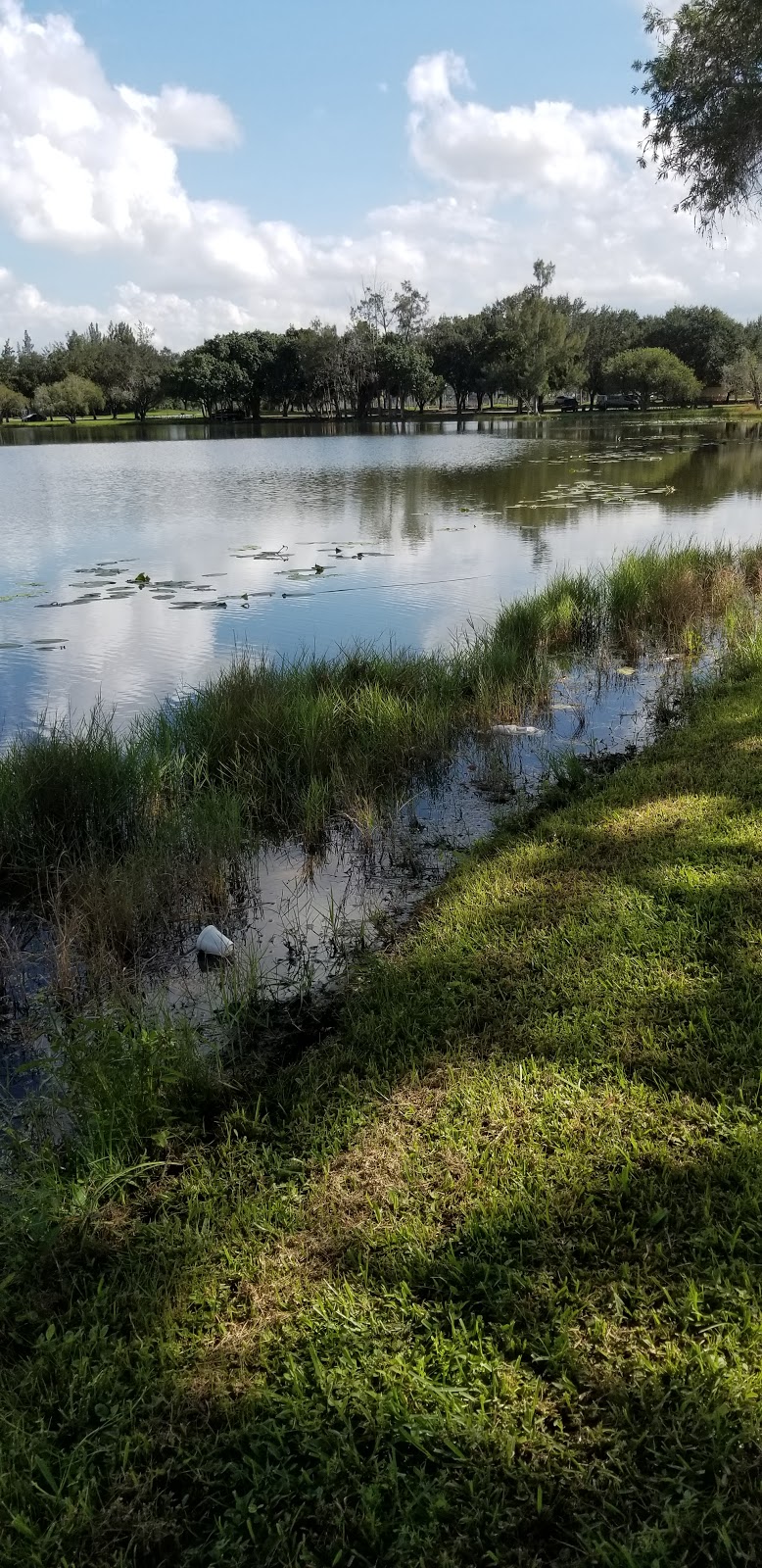 Markham Park - Weston Local Guide | Powered by Radius®