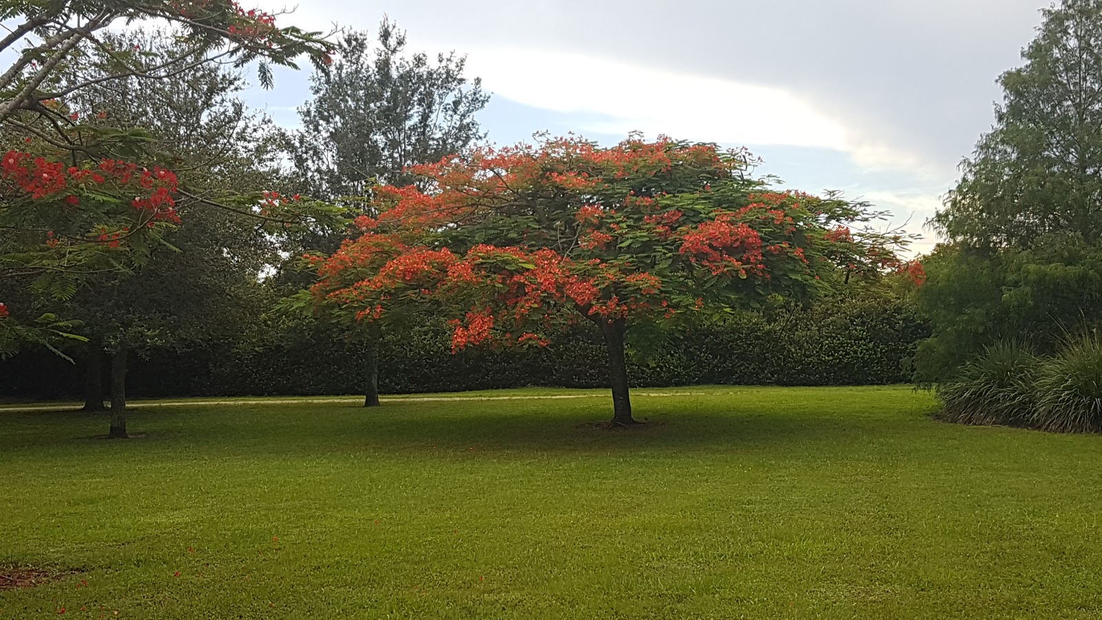 Sunshine Ranches Equestrian Park | Southwest Ranches, Florida